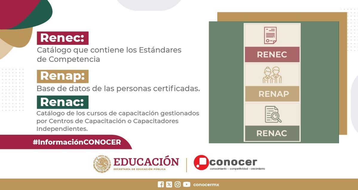 ¿Qué es el RENEC? - ICCEA